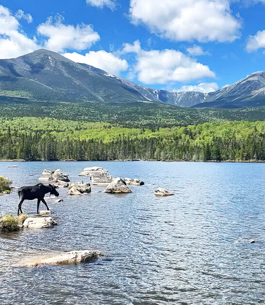 gorgeous maine state park ftr