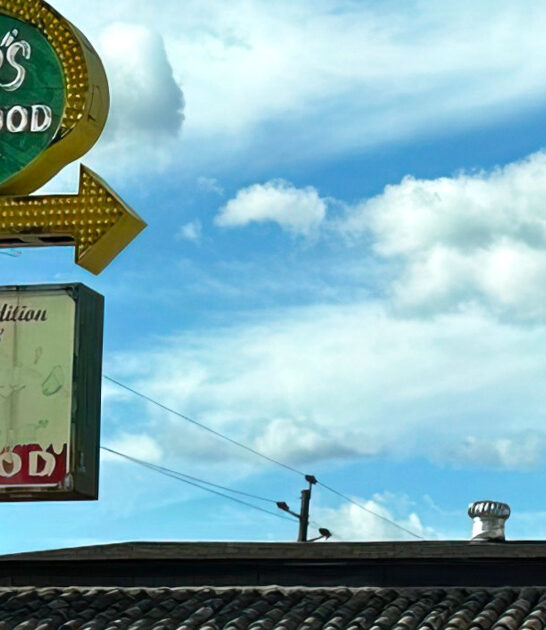 green chili chimichanga arizona ftr