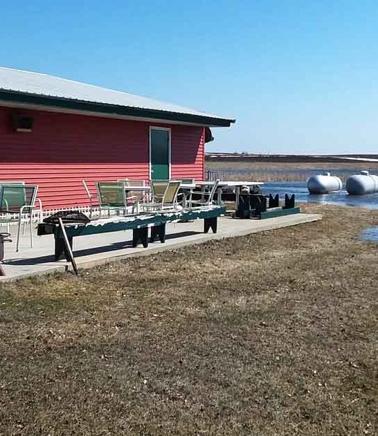 grilled walleye minnesota restaurant ftr