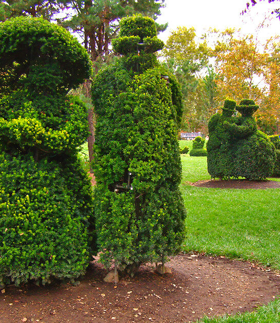hauntingly beautiful garden ohio ftr