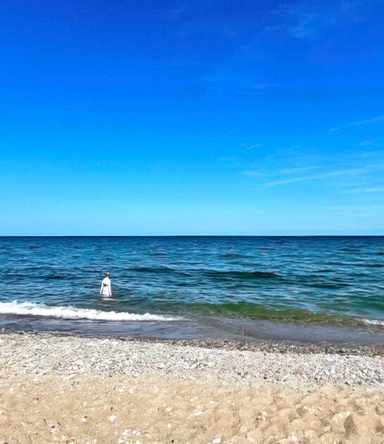 hidden beaches wisconsin ftr