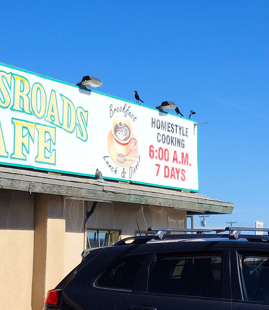 homemade hash browns arizona ftr