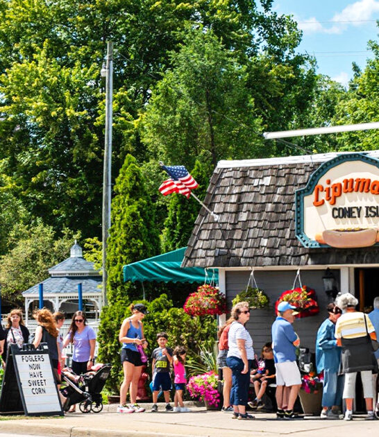 hot dog spot michigan ftr