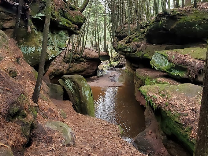houghton falls natural area 1