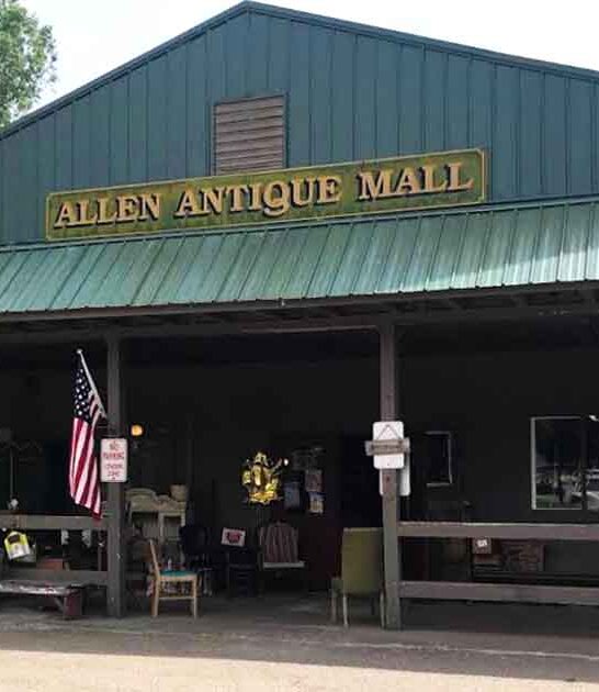 huge antique store michigan ftr