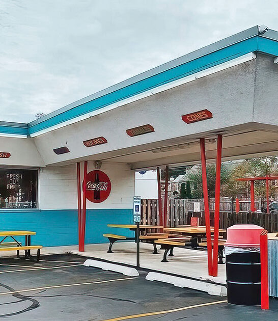 illinois best hot dog ftr