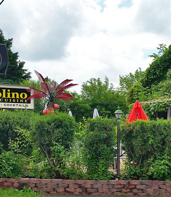 illinois restaurant chimichanga ftr