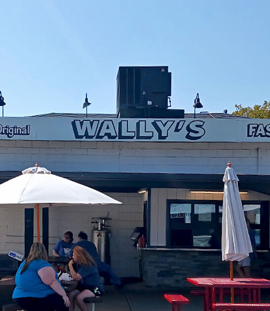 illinois waffle fries ftr