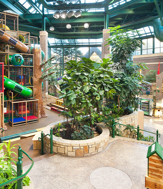 insanely fun minnesota park ftr