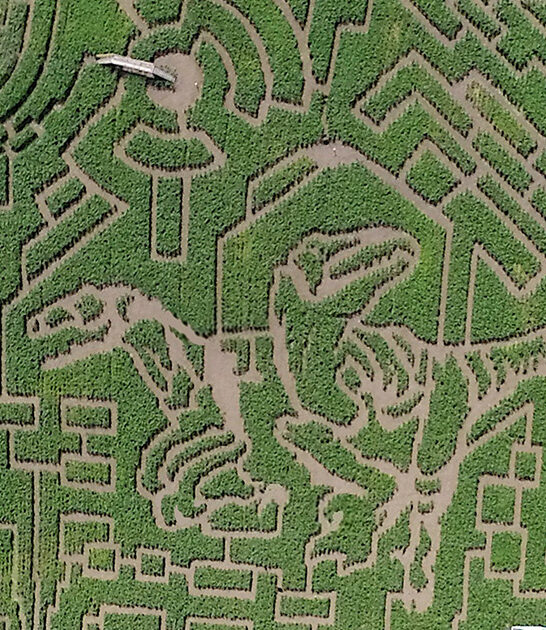 largest corn maze vermont ftr