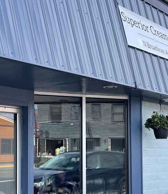 lemon sorbet minnesota shop ftr