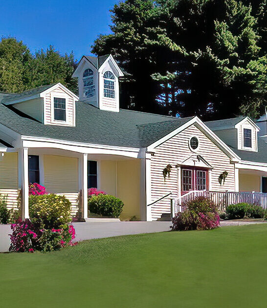 lifesize chocolate moose maine ftr