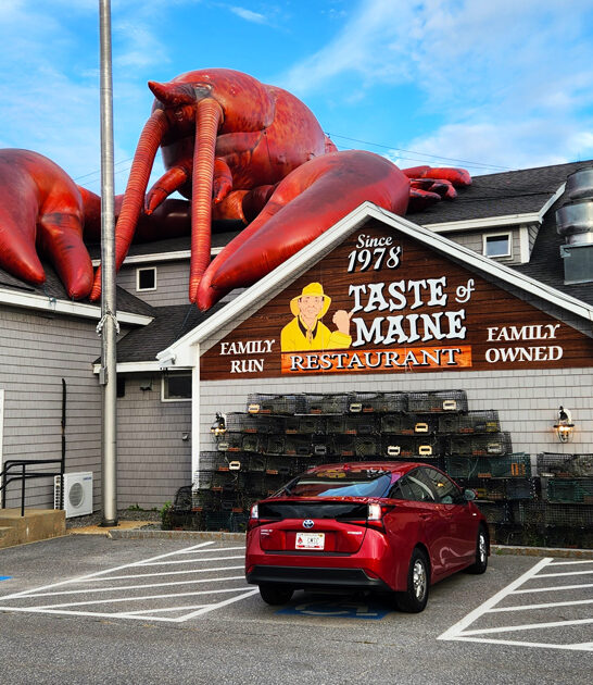 maine best lobster stew ftr