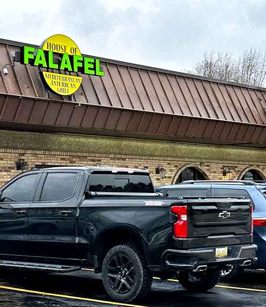 meatball kabob plates michigan ftr