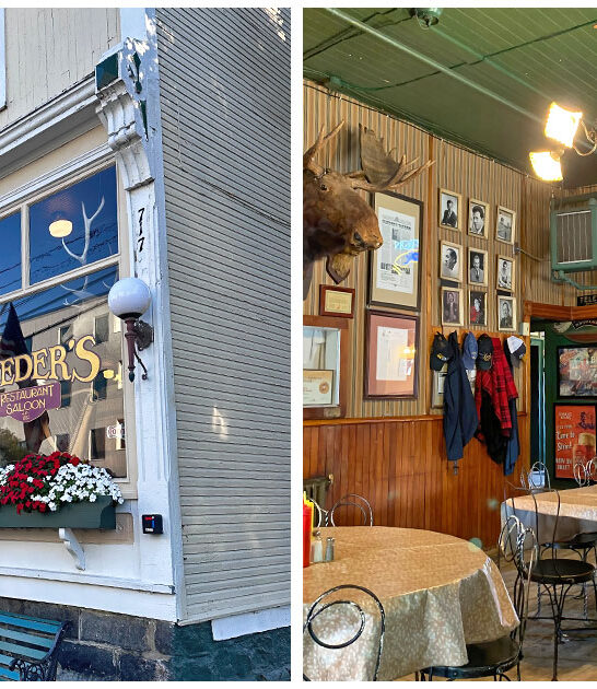 michigan-buffalo-burger FTR