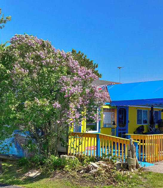 michigan cafe omelets ftr