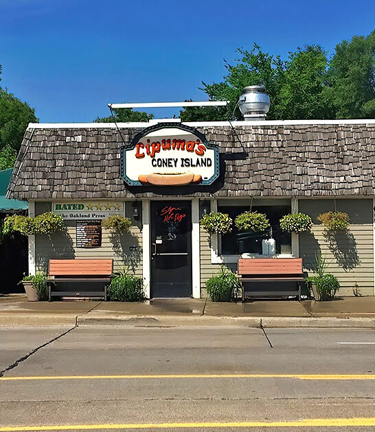 michigan chili fries ftr
