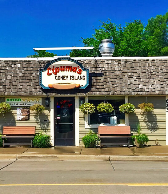 michigan famous coney dog ftr