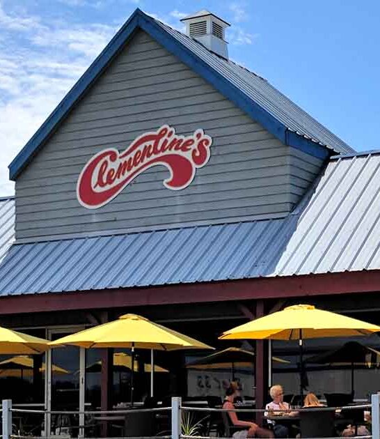 michigan french onion soup ftr