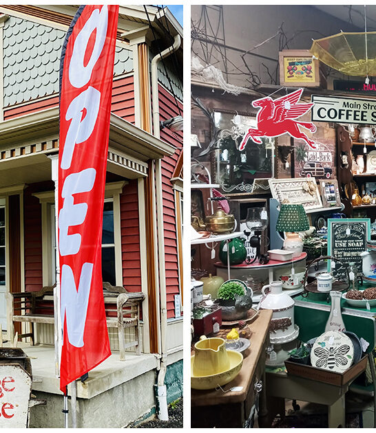 michigan-vintage-antique-shop ftr