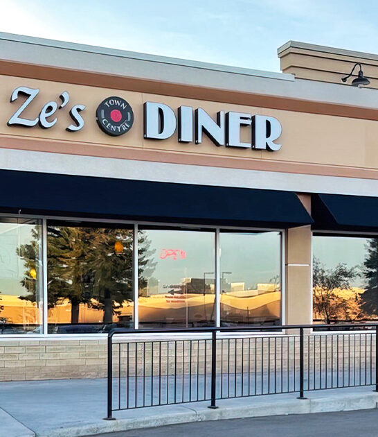 minnesota diner best gyros ftr