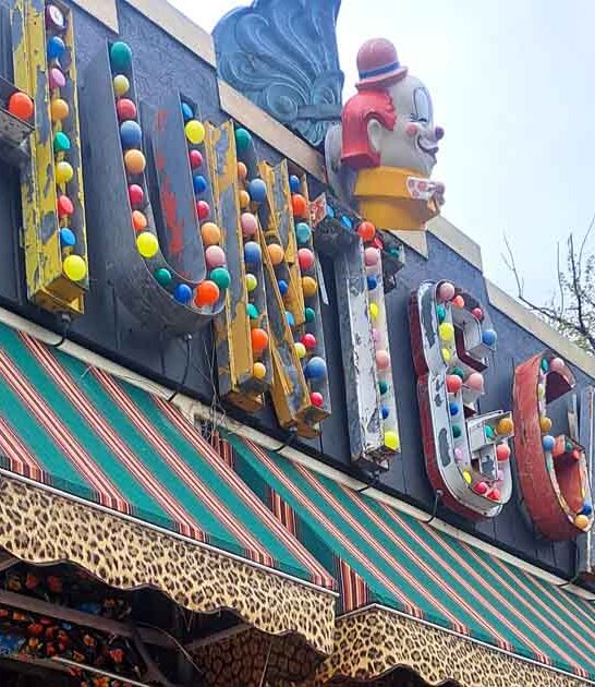 minnesota eclectic store ftr