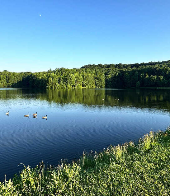 natural state park illinois ftr