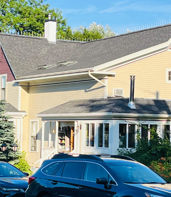 oyster sundays maine restaurant ftr