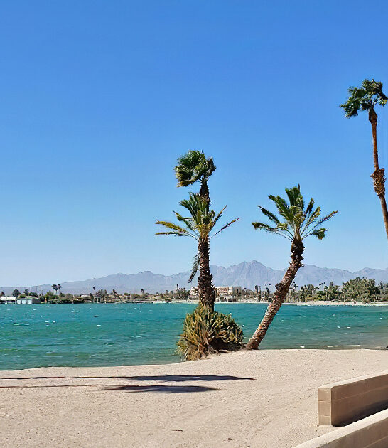 picturesque lake beach arizona ftr