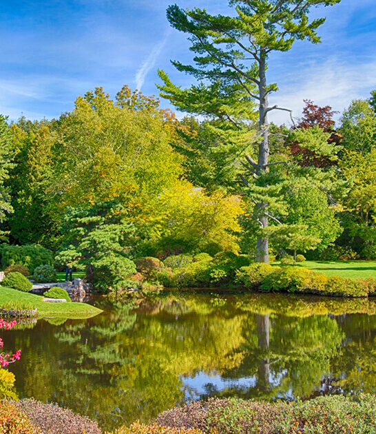 postcard worthy garden maine ftr