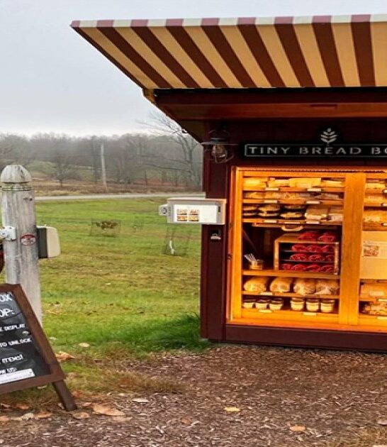 quirky miniature bakery vermont ftr