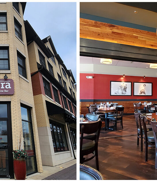 restaurant-illinois-delicious-calamari ftr