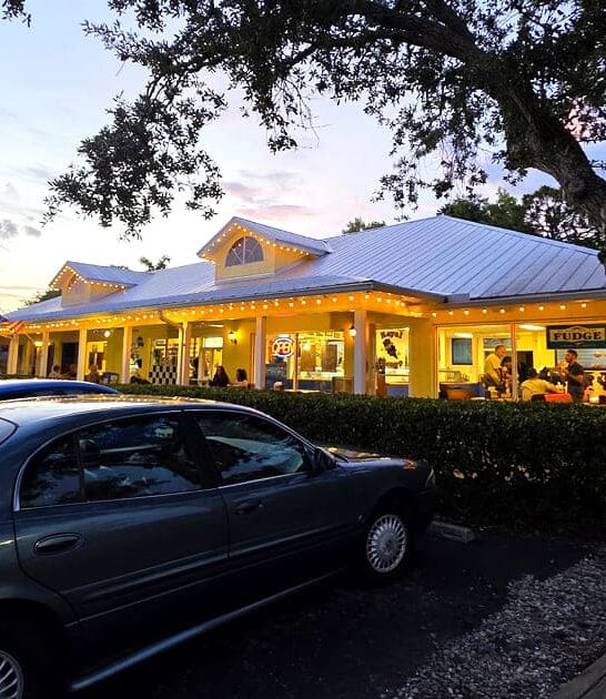 retro florida ice cream ftr