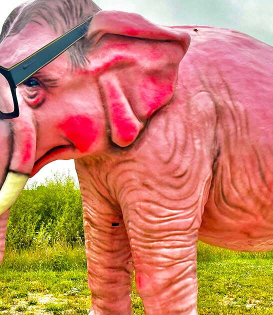 roadside attractions wisconsin ftr