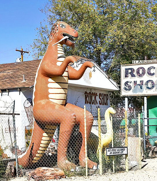 rock shop dinosaur arizona ftr