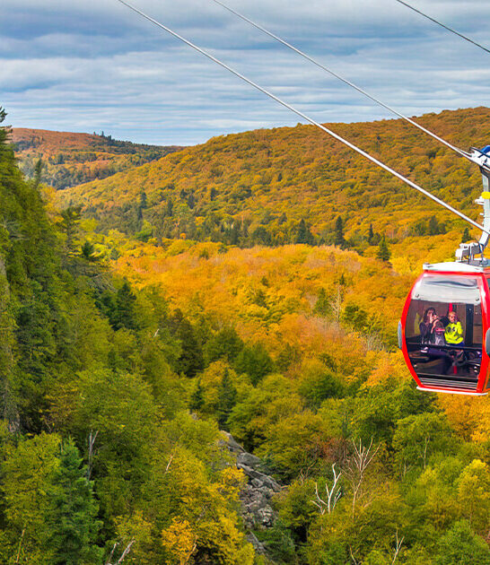 scenic gondola minnesota ftr