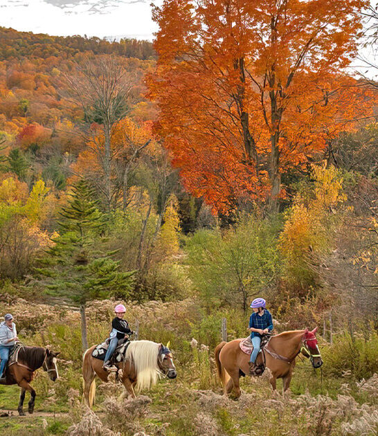 scenic horseback adventure vermont ftr