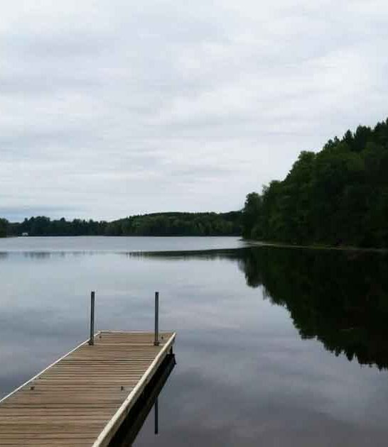 creator: gd jpeg v1.0 (using ijg jpeg v80), quality = 80