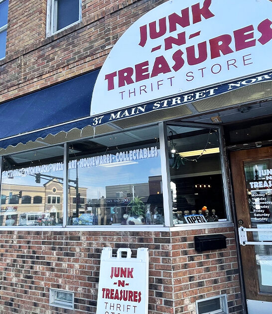 small antique store minnesota ftr