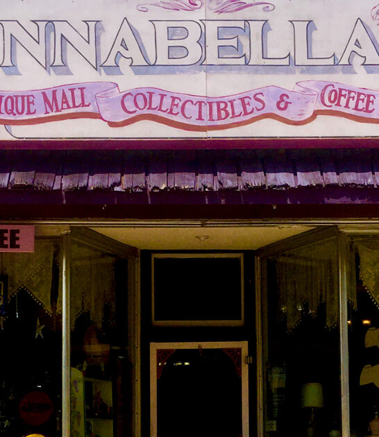 speakeasy antique minnesota ftr