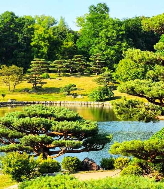 stunning garden illinois ftr