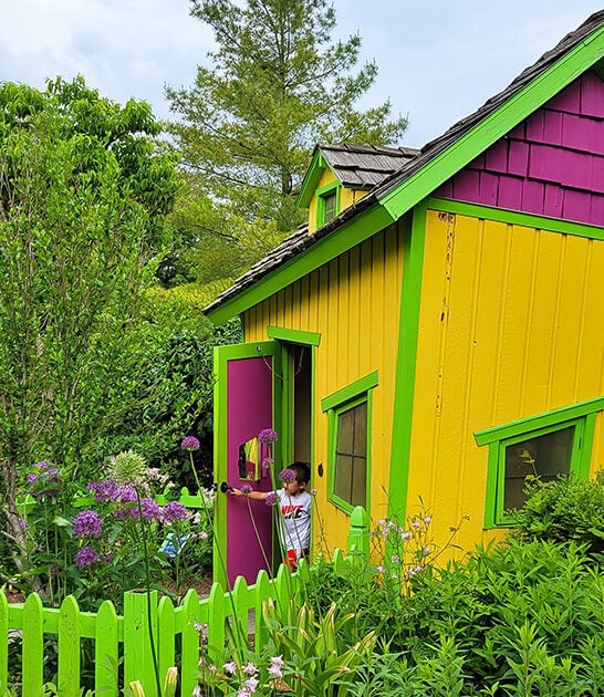tiny fairy garden wisconsin ftr