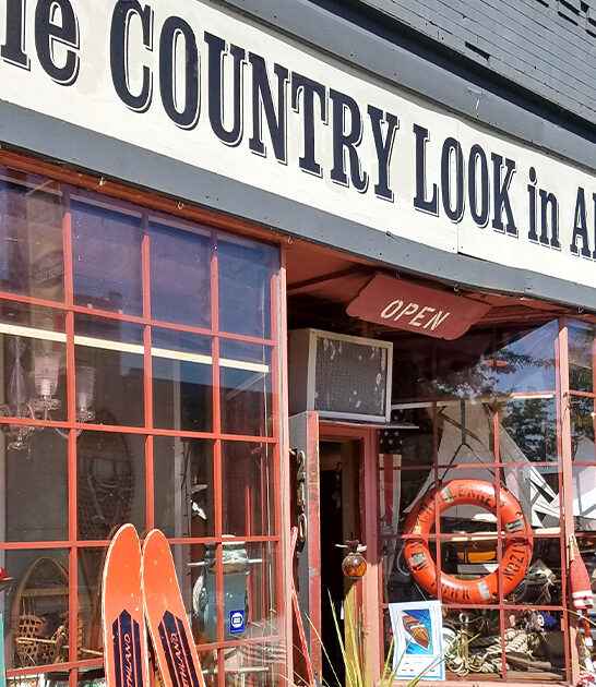 tiny minnesota antique store ftr