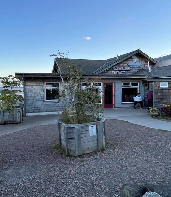 top fish chips minnesota ftr