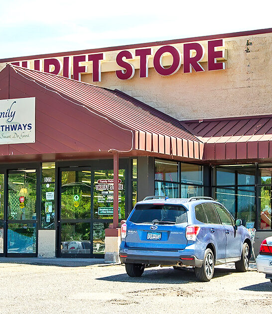 treasure thrift shops minnesota ftr