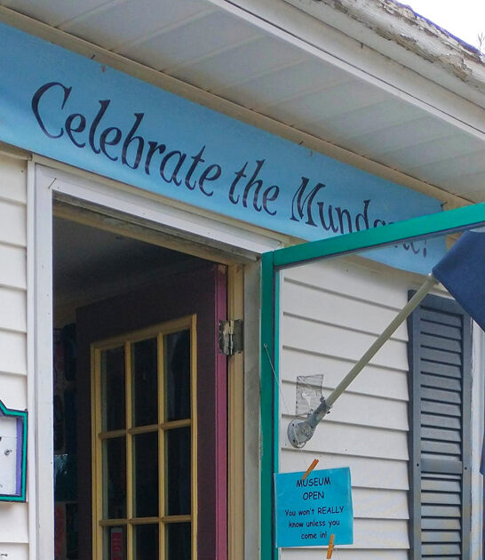 umbrella cover museum maine ftr