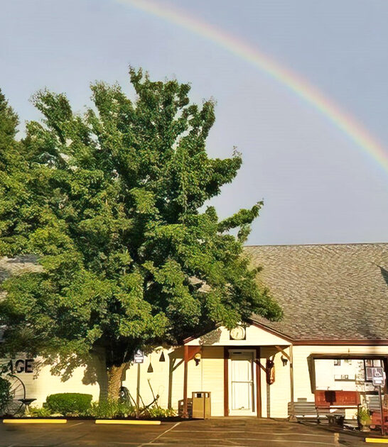 under radar antique maine ftr