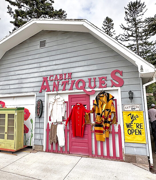 unique antique minnesota shop ftr
