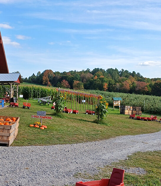vermont cider slushies ftr