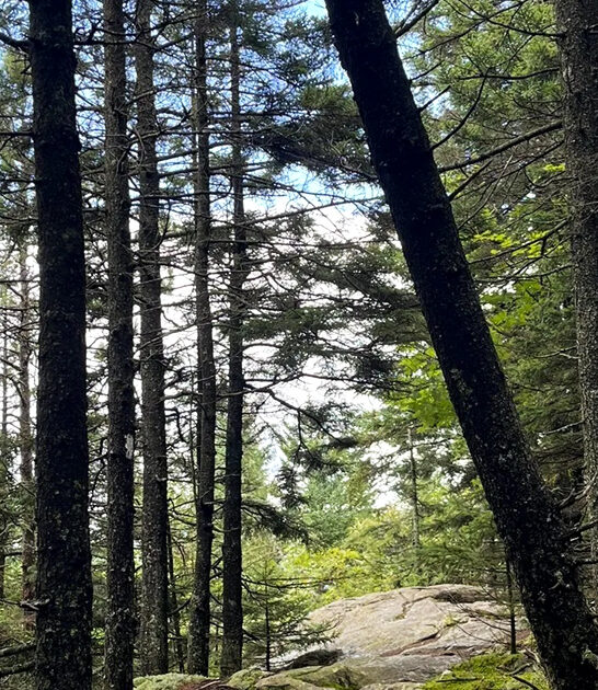 vermont trail abandoned quarry ftr